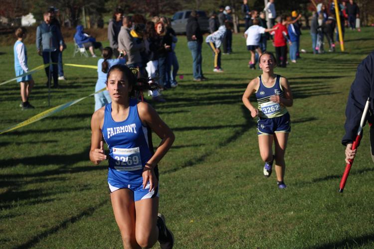 Bees and Polar Bears send both teams to state meet | High School Sports ...