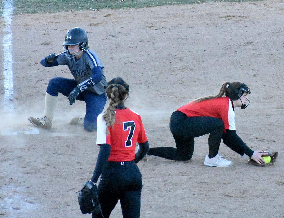 Bees softball displays day, night efforts in double-header: PHOTOS ...