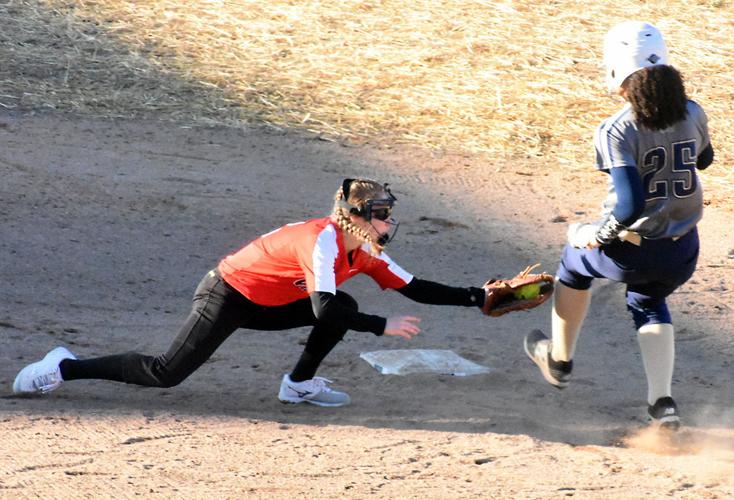 Bees softball displays day, night efforts in double-header: PHOTOS ...