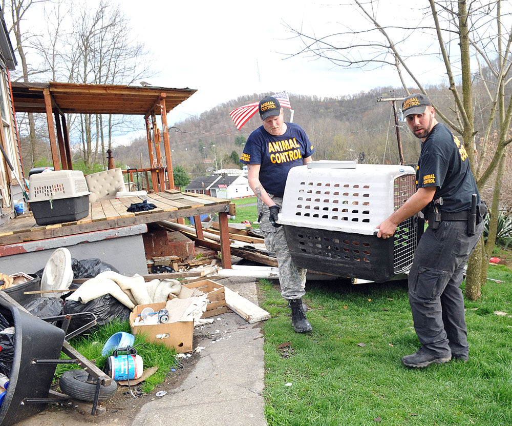 Marion County man faces animal cruelty charges after one dog found dead ...