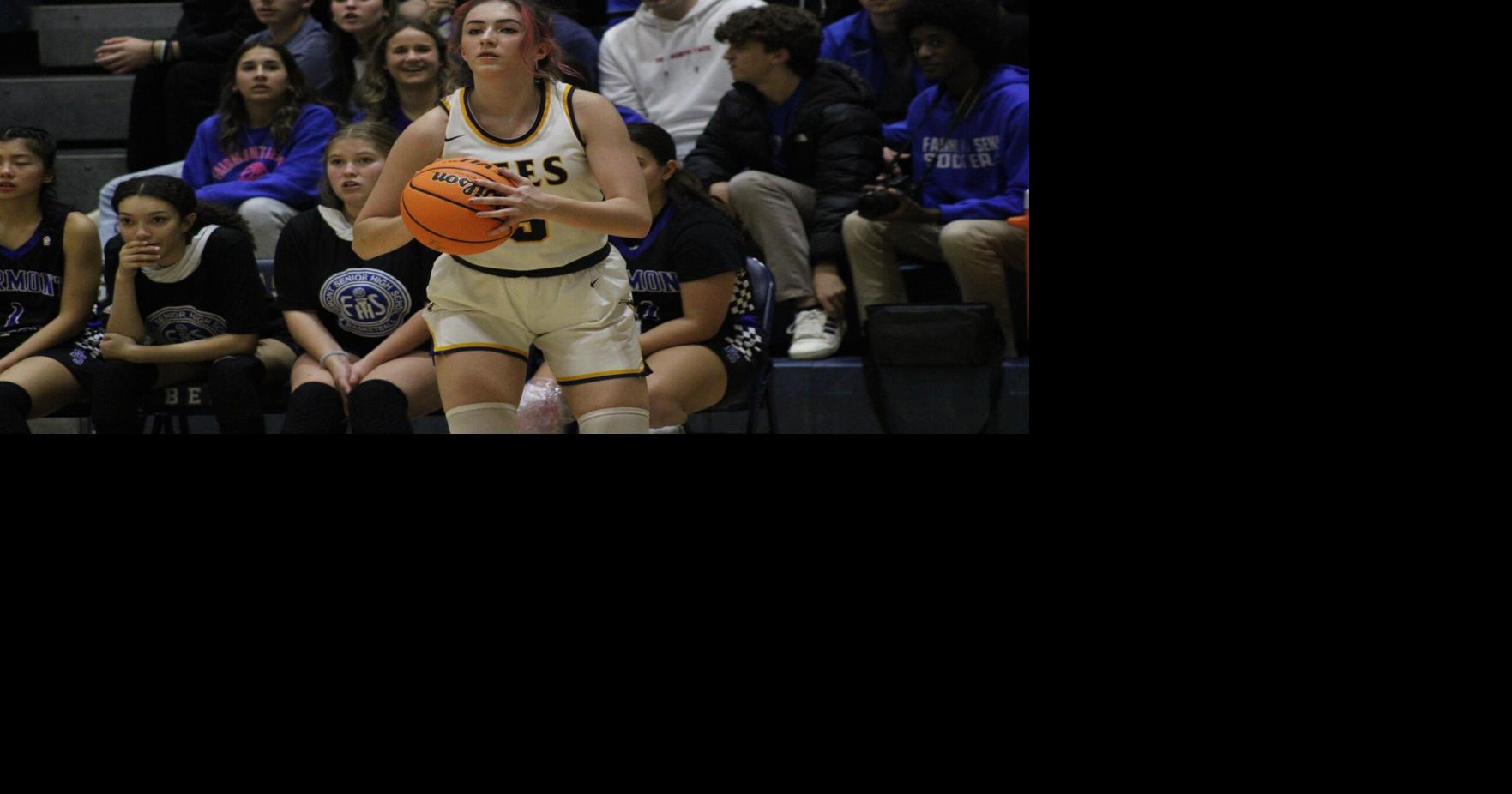 Bees fly by Polar Bears behind Rogers' 28 | High School Sports ...