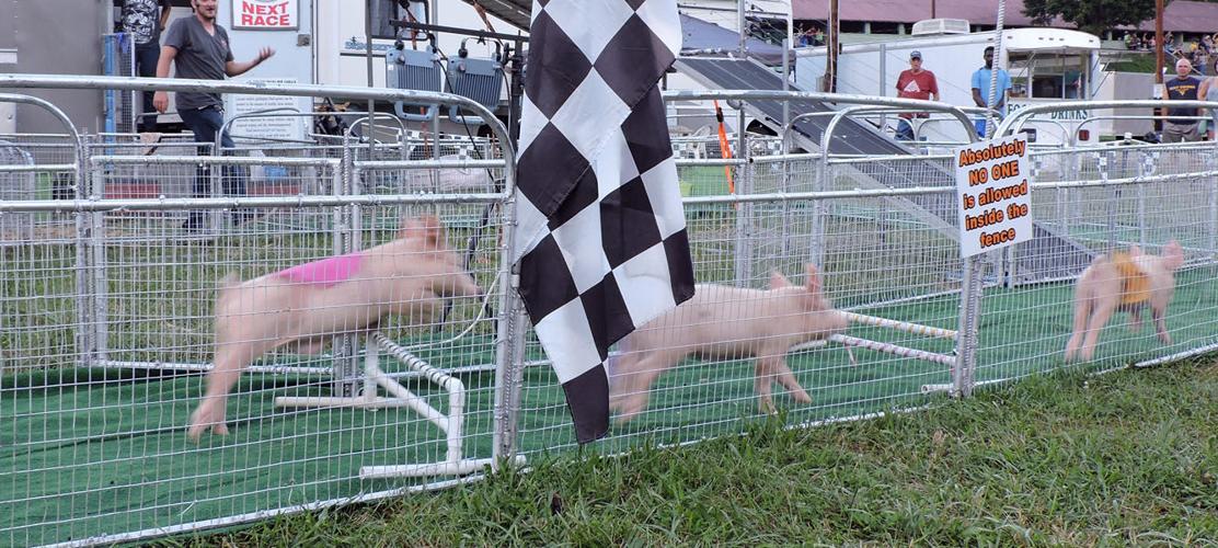 Kent Family Magic Circus is special for kids, parents: Photos | News ...