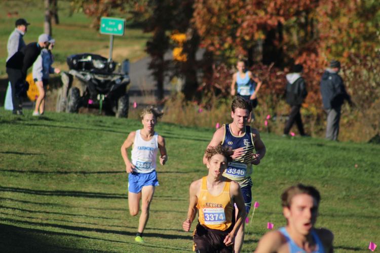 Bees and Polar Bears send both teams to state meet | High School Sports ...