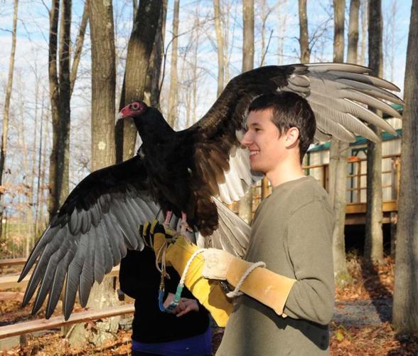 West Virginia Raptor Rehabilitation Center in new Bunner Ridge ...