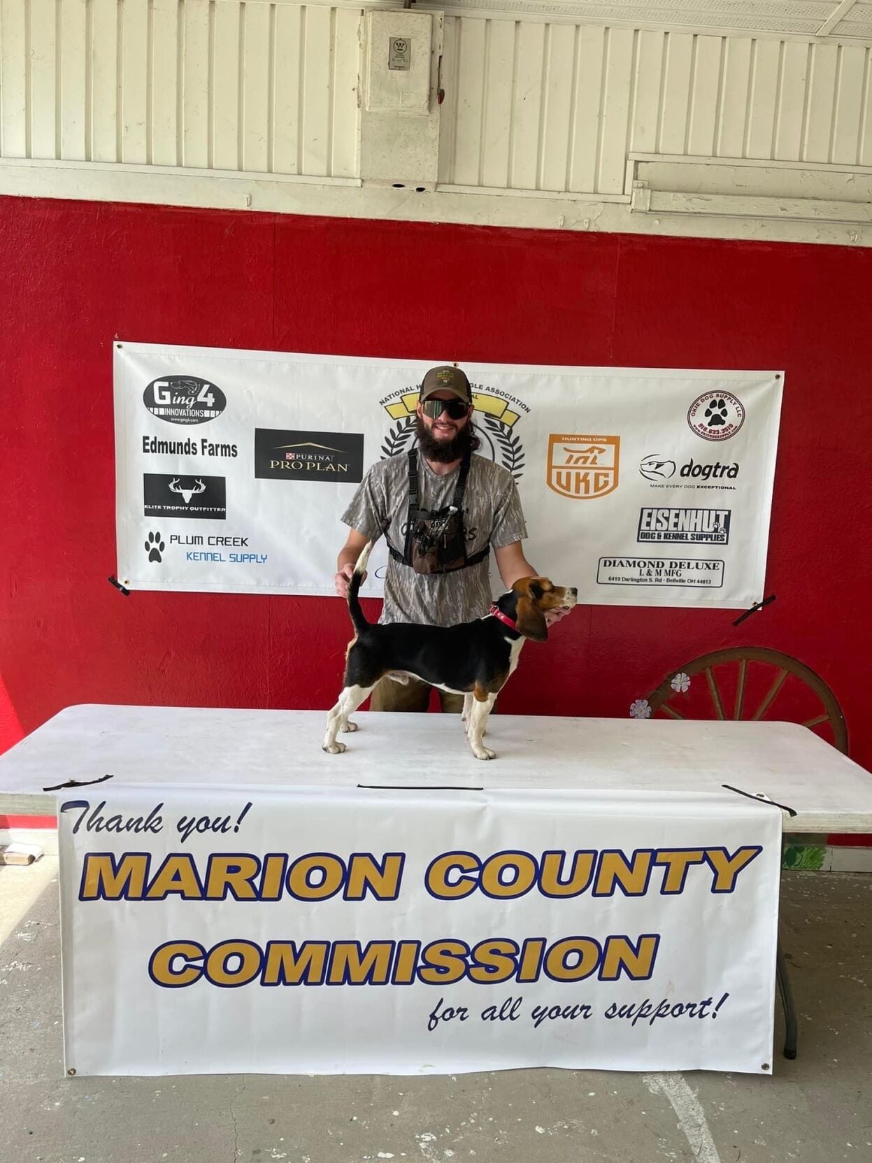 Hunting Beagle championship brings 120 dogs from 6 states to Mannington ...