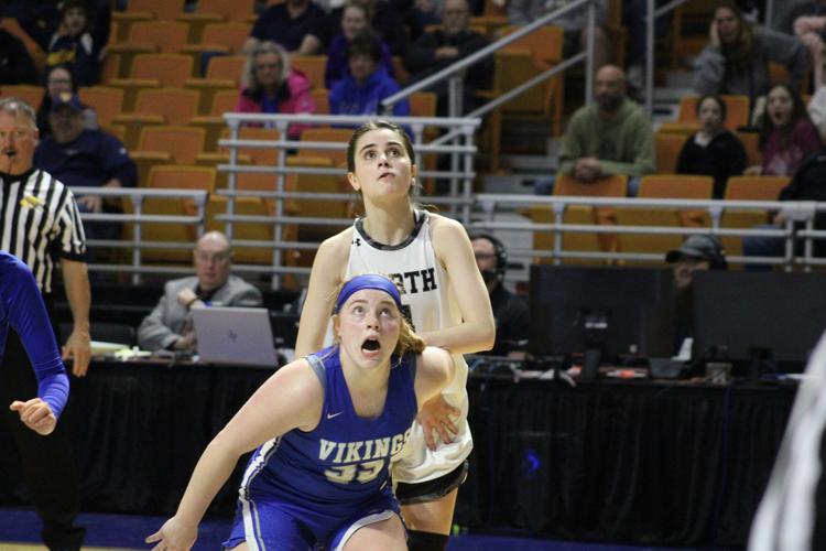 Freels' game-winning shot takes Huskies to state title game | High ...