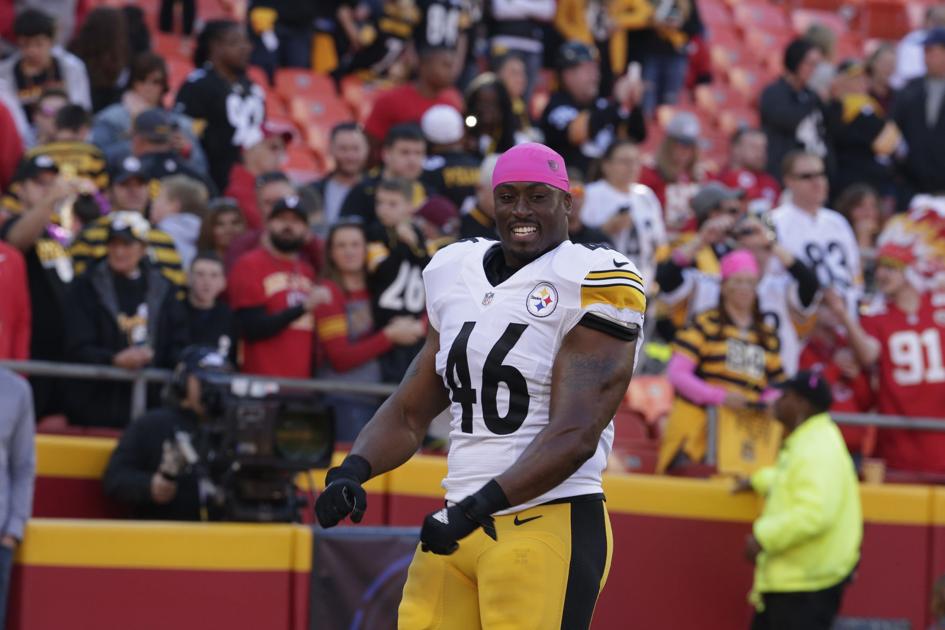 Johnson gives back after NFL career | Sports | timeswv.com