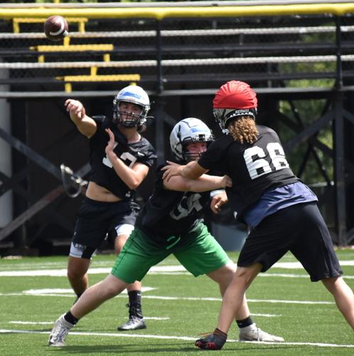 North Marion's Brody Hall is the Big 10's leading passer after Week 1 ...