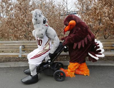 COLUMN: So, exactly what is a Hokie? | WVU Mountaineers | timeswv.com