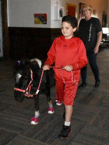 Miniature horse helps wrap up year of reading success | News | timeswv.com