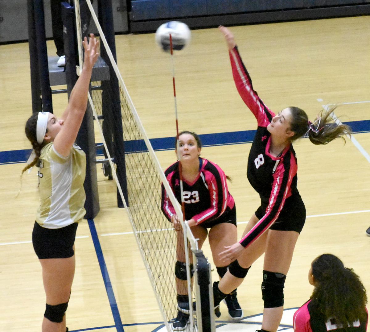 Bees volleyball beat Cougars: Photos | Sports | timeswv.com