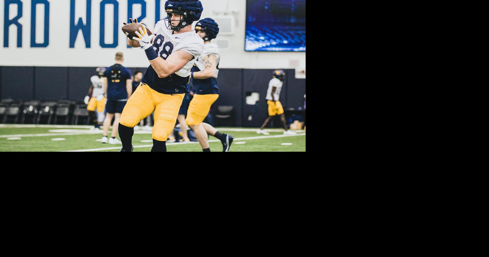 COLUMN: WVU tight end Brian Polendey knows how explosive Pitt can be ...