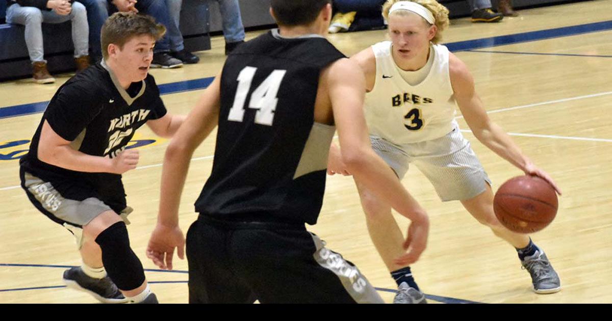 Bees outlast Huskies in front of frenzied crowd: PHOTOS | Sports ...