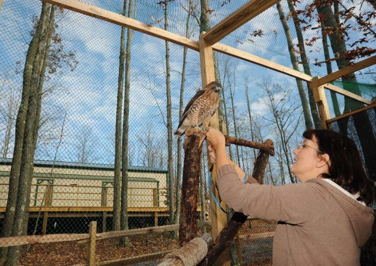 West Virginia Raptor Rehabilitation Center in new Bunner Ridge ...