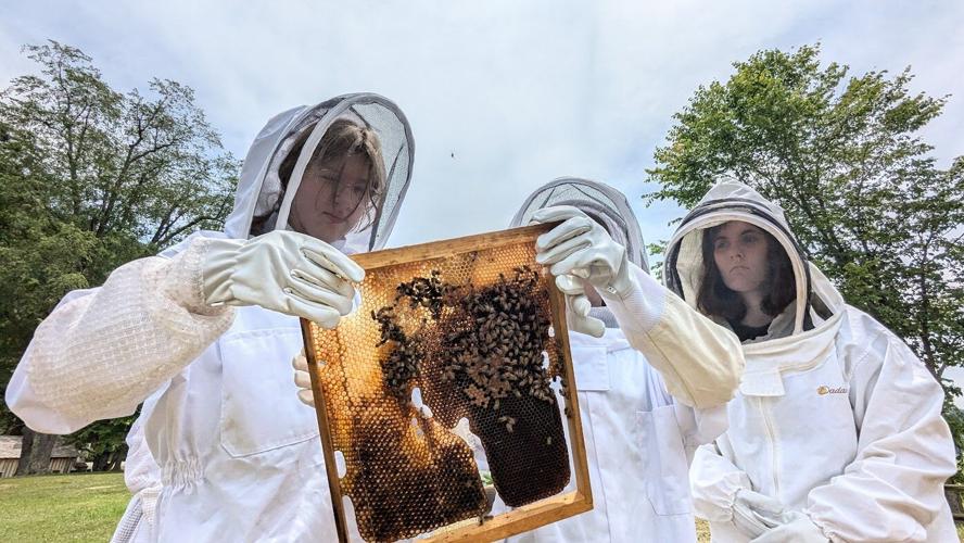 West Virginia 4-H'ers celebrate National Pollinator Week with beekeeping workshop | Local News ...