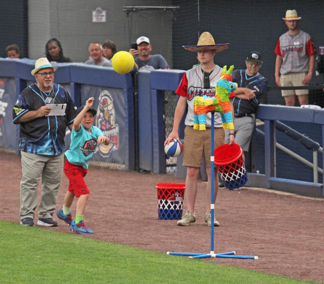 Fan throws at piñata | Baseball | tiogapublishing.com