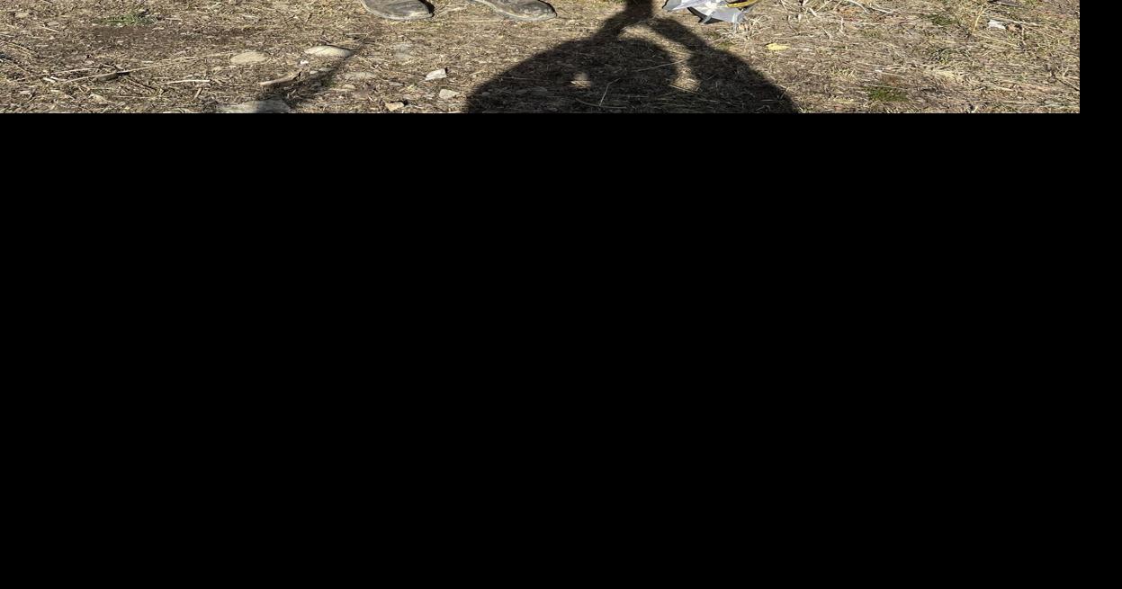 Woodland owners group tours tree farm | Community | tiogapublishing.com