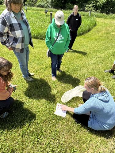 Mill Cove's butterfly program takes flight | Local | tiogapublishing.com