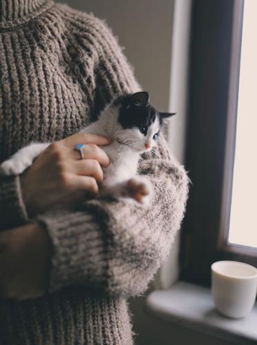 Does cuddling cats or dogs actually ease anxiety? | News ...