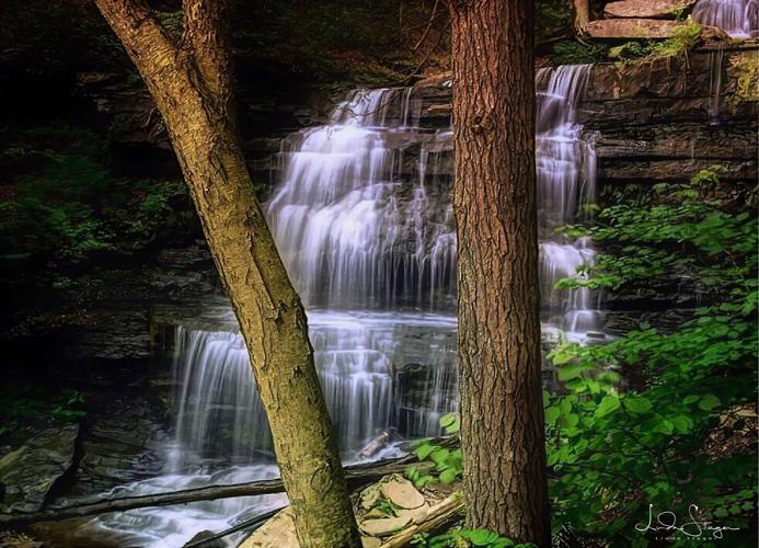 Tioga County, home of many scenic waterfalls | Local | tiogapublishing.com
