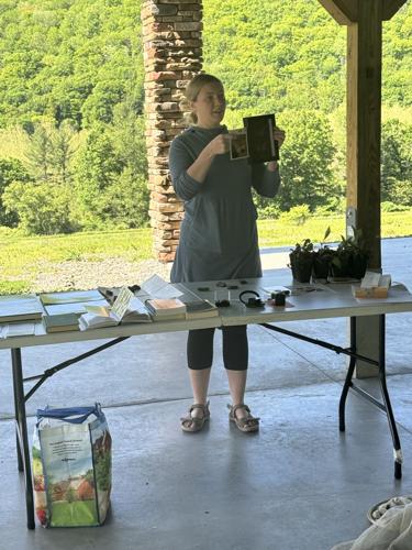 Mill Cove's butterfly program takes flight | Local | tiogapublishing.com