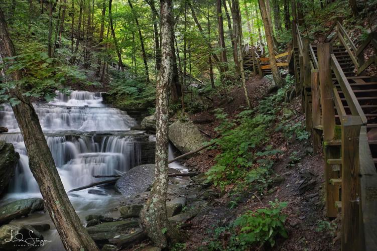 Tioga County, home of many scenic waterfalls | Local | tiogapublishing.com