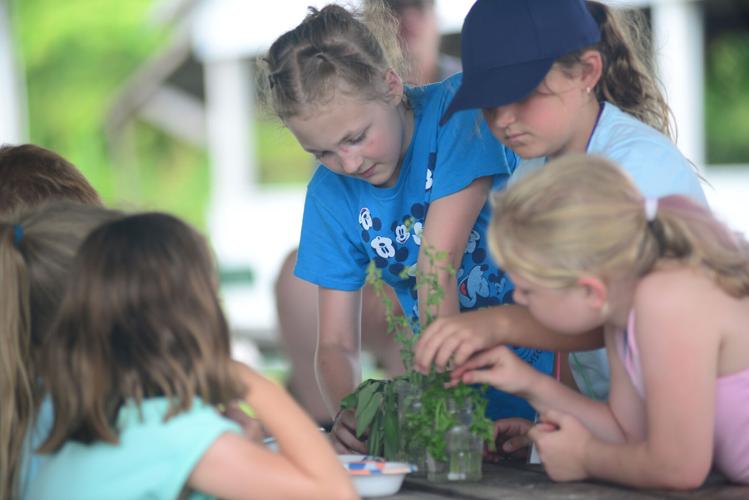 Exploring and adventuring at 4-H camp | Local | tiogapublishing.com