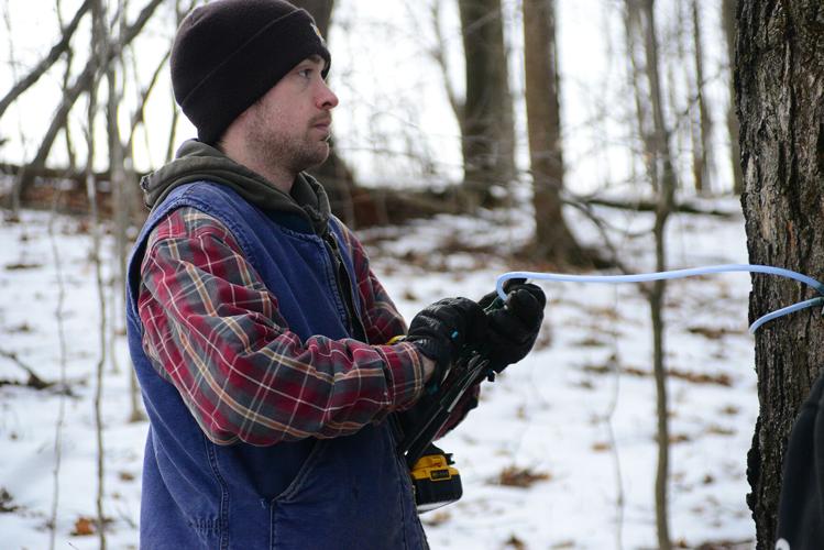 Maple weekend is just around the corner | Local | tiogapublishing.com