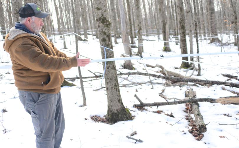 Maple weekend is just around the corner | Local | tiogapublishing.com