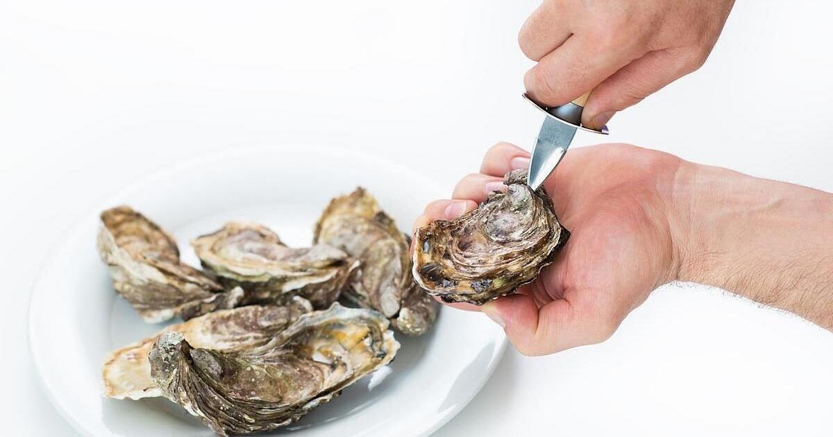 Salmonella Outbreak Tied to Raw Oysters Sickens 64 in 22 States | News ...