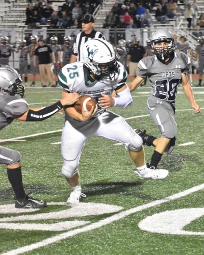 Hornets pick up win in Athens | The Wellsboro/Mansfield Gazette ...