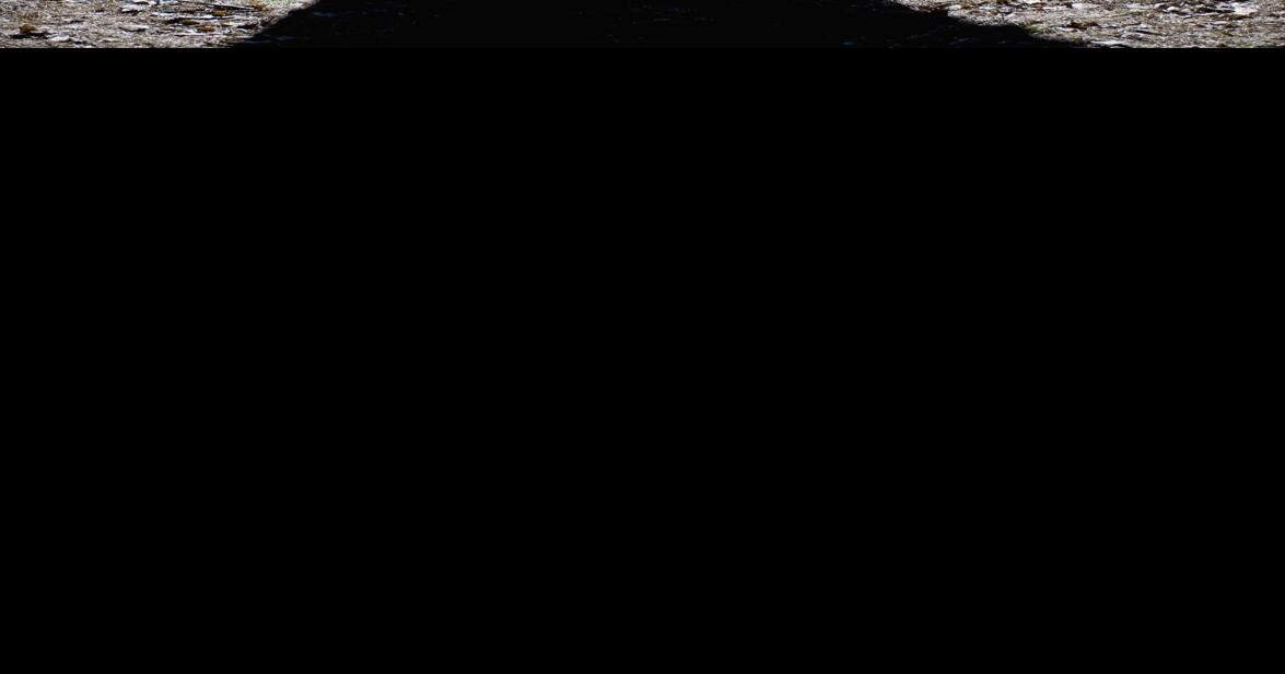 Luke 'the Spook' never far from Willow Dale | Local | tiogapublishing.com