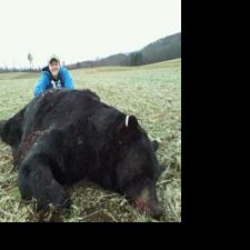 700 pound bear | News | tiogapublishing.com