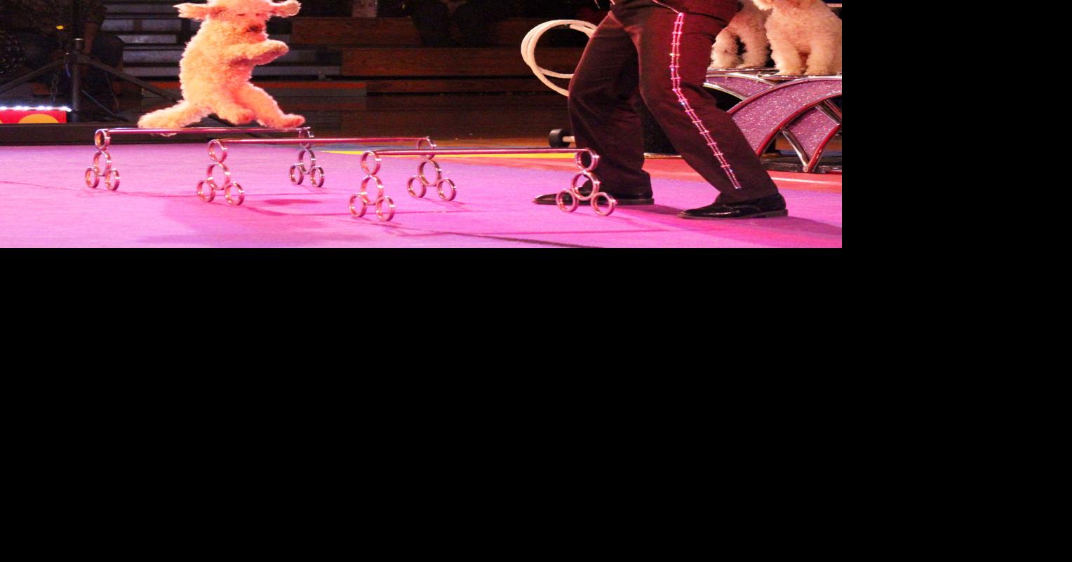 Billy Martin's Cole All Star circus visits Williamson and Clark Wood ...