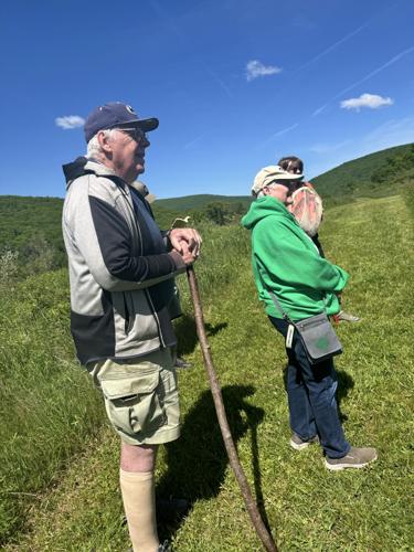 Mill Cove's butterfly program takes flight | Local | tiogapublishing.com