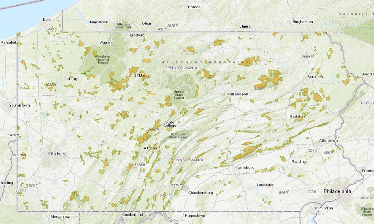 State Game Lands are another reason to love Tioga County | Local ...