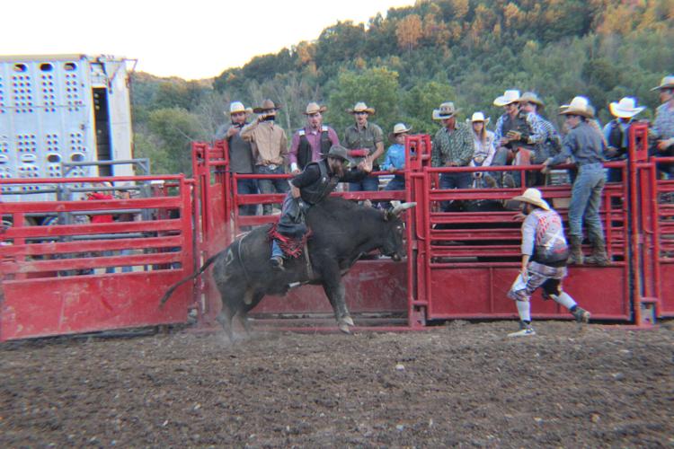 Tioga County Fair Welcomes Bullride Mania | | tiogapublishing.com