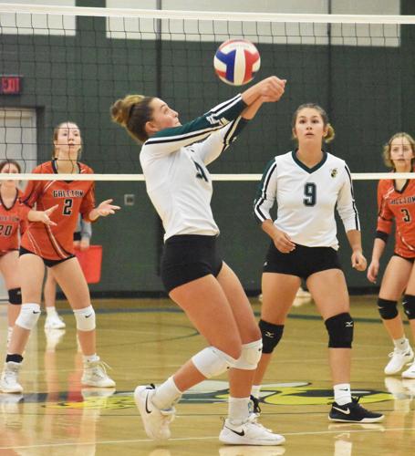 Lady Hornets ready to compete under hometown coach | The Wellsboro ...