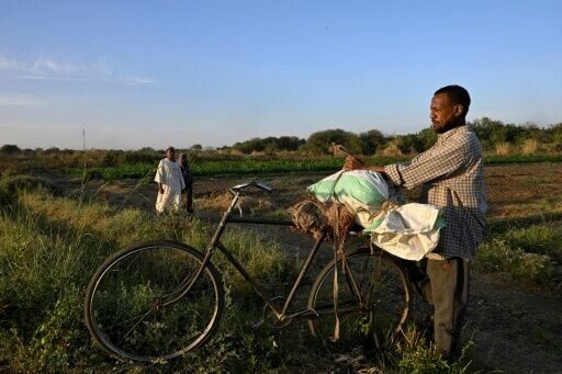 The tiny, defiant Nile island caught in the heart of Sudan's war | News ...