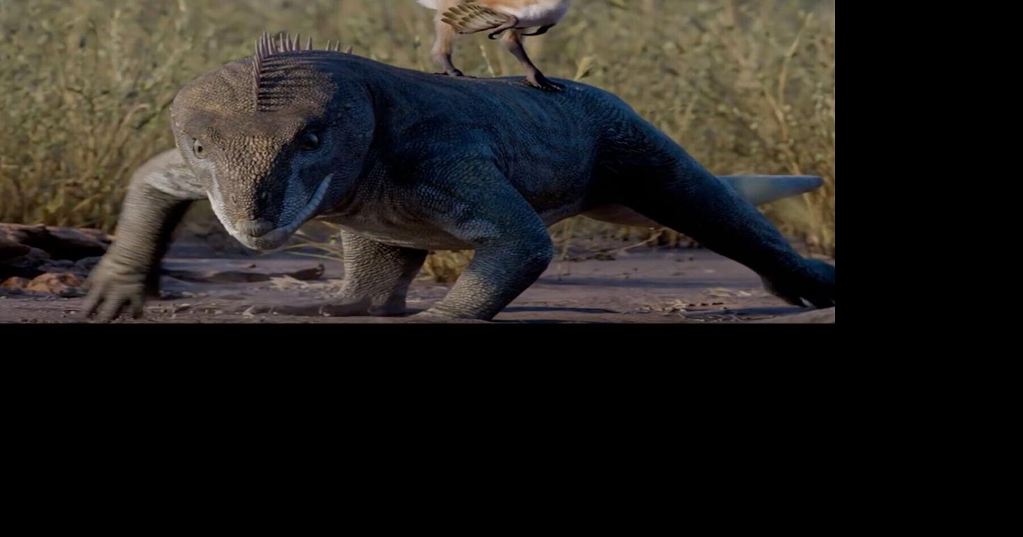 90-million-year-old fossil of ‘missing link’ bird-like dinosaur ...