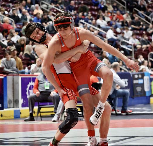 Nickerson takes seventh at states | Free Press-Courier ...