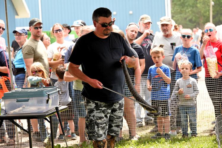 56-plus inch pit viper largest at snake hunt | Local | tiogapublishing.com