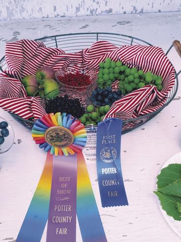 Potter County Fair | Potter Leader-Enterprise | tiogapublishing.com