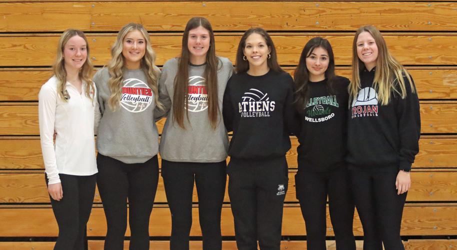 NTL announces 2024 Volleyball All-Stars | The Wellsboro/Mansfield ...