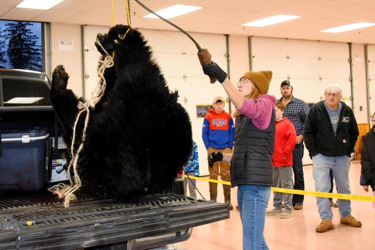 Bear season off to good start, despite slow firearm opener | Local ...