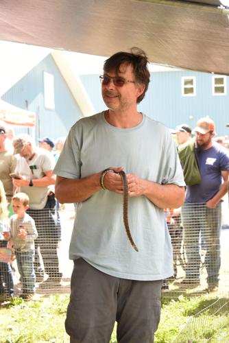 56-plus inch pit viper largest at snake hunt | Local | tiogapublishing.com