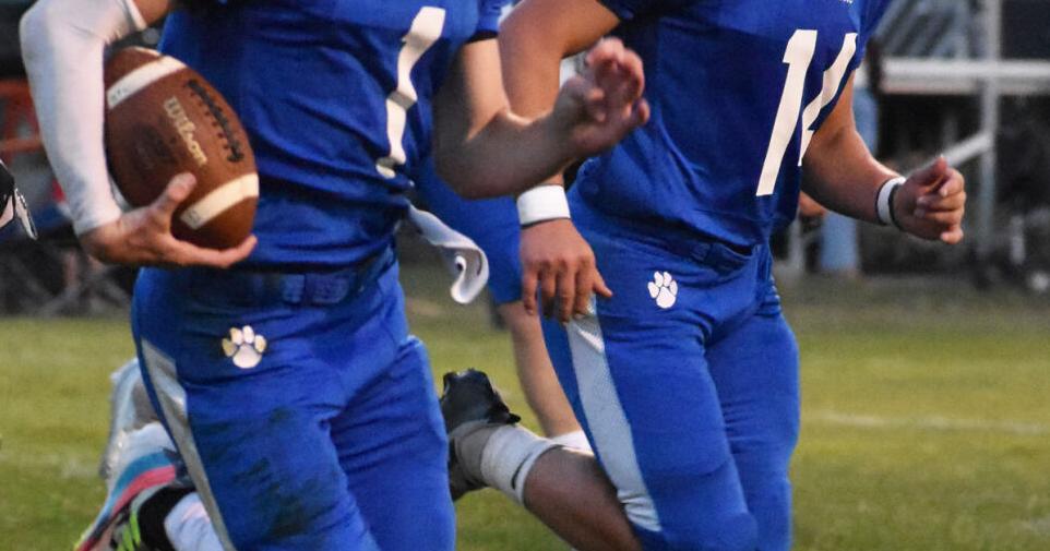 Panthers tack on another win for the season | Free Press-Courier ...