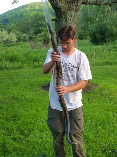 Snake Hunt is this weekend in Morris | Living | tiogapublishing.com