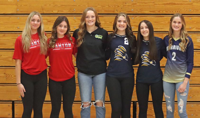 NTL announces 2024 Volleyball All-Stars | The Wellsboro/Mansfield ...