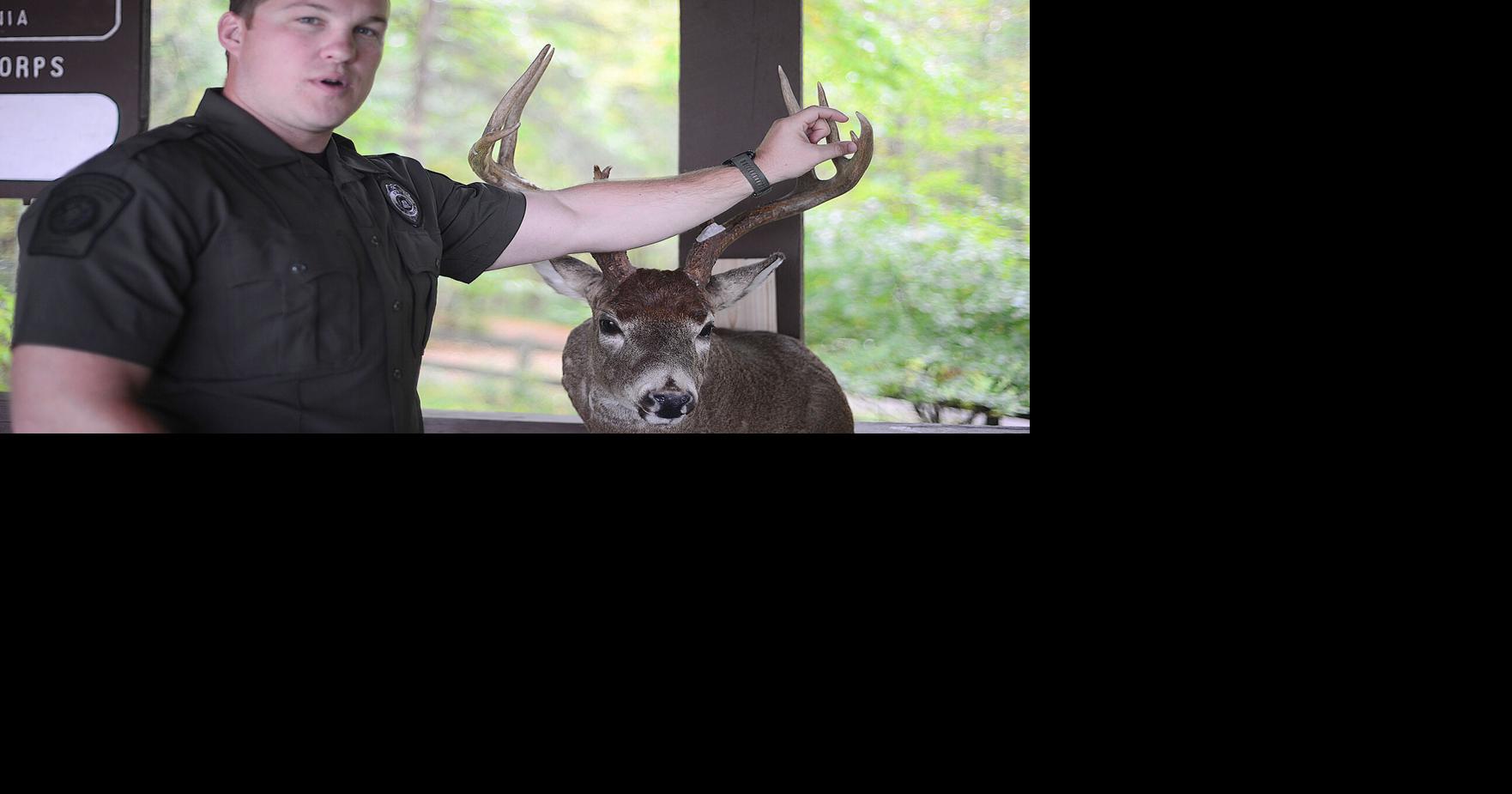 Keeping score: Wildlife experts talk size, meaning of deer antlers ...